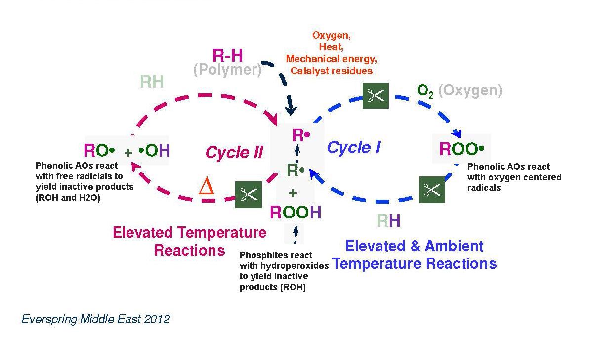 Everspring Chemical - Antioxidants